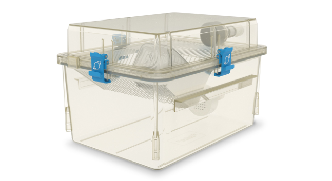 Sentry SPP™ Rat - 樂斯科生物科技股份有限公司