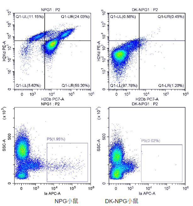 免疫缺陷鼠 DK-NPG Mice - 樂斯科生物科技股份有限公司